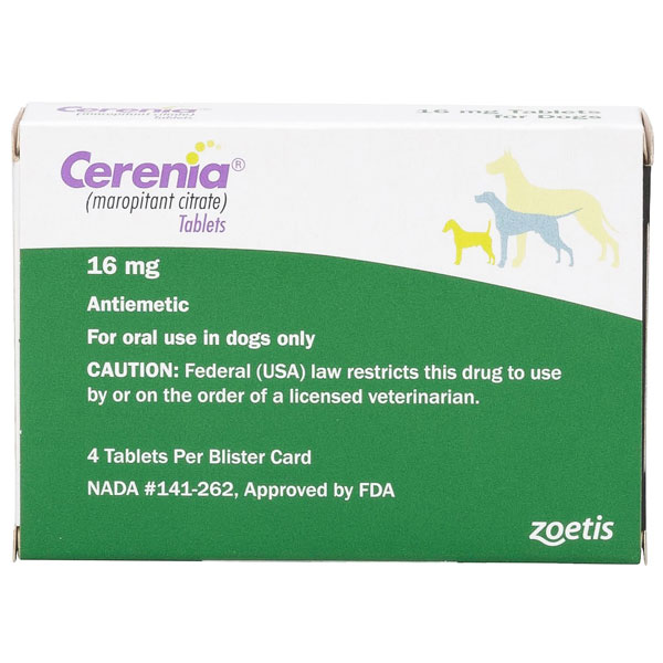 Dog Vomiting | Therapy Pet